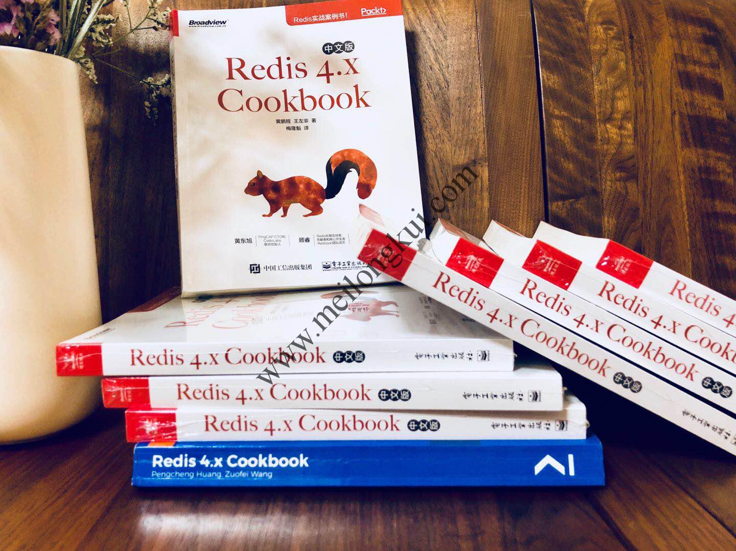 《Redis 4.x Cookbook》中文版现已上架京东-进城务工人员小梅